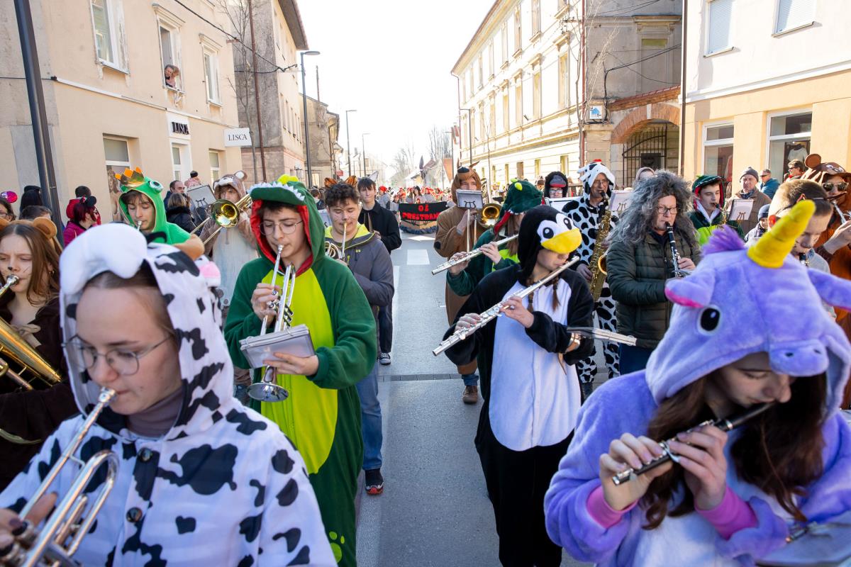 Navdušila vas je 52. pustna povorka - postojna.si